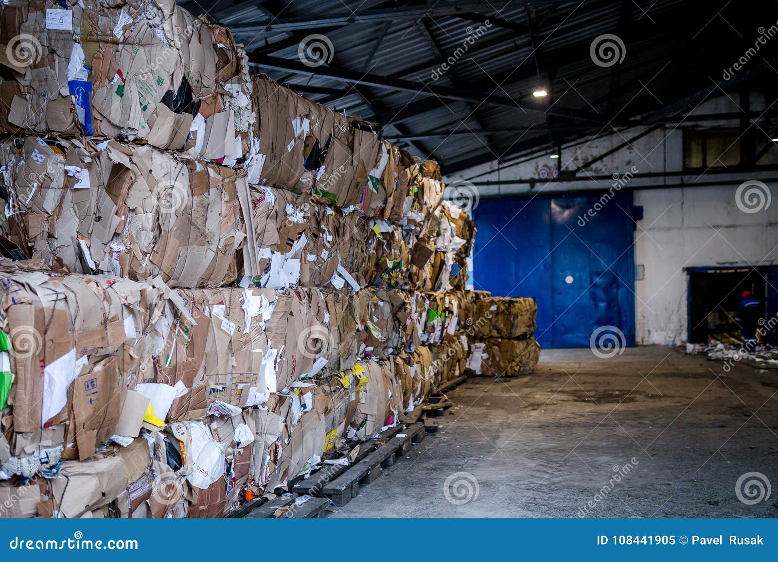 Plastic Waste is in the Warehouse at the Garbage Disposal Plant ...