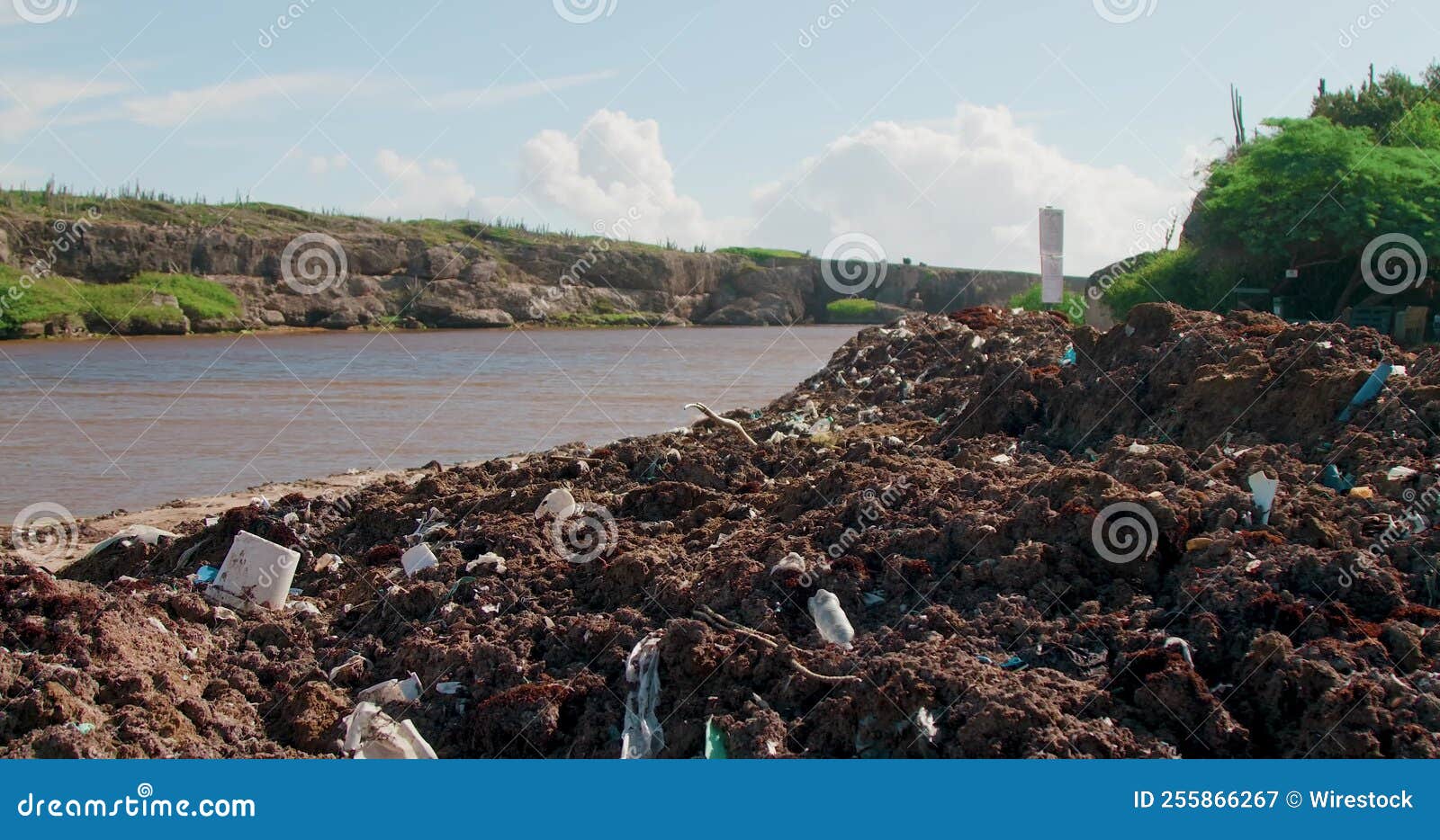 Static of Plastic Trash Littered on Beach Stock Video - Video of ...