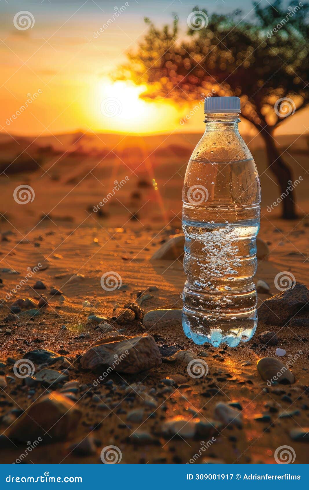 Plastic Water Bottle in Desert at Sunset with Tree Silhouette and Warm ...