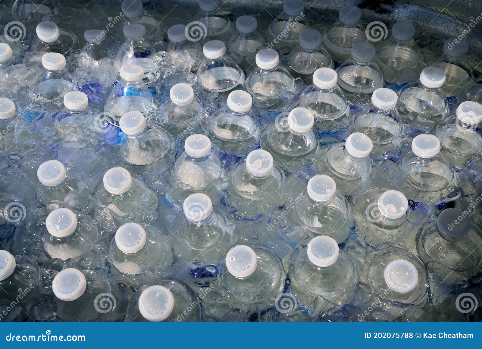 Plastic Water Bottles in Ice Stock Photo - Image of liquid, outdoors ...