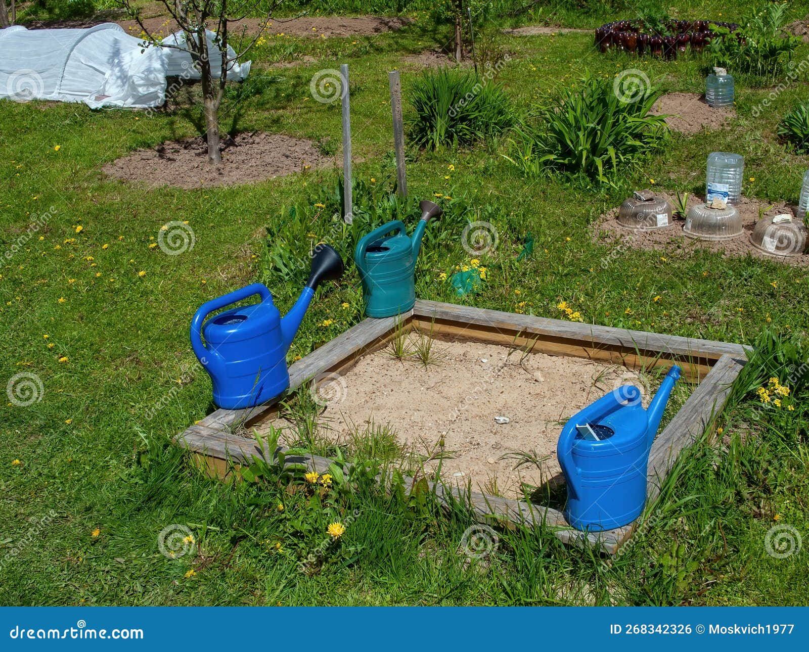 Plastic Watering Cans in the Garden Stock Photo - Image of nature ...