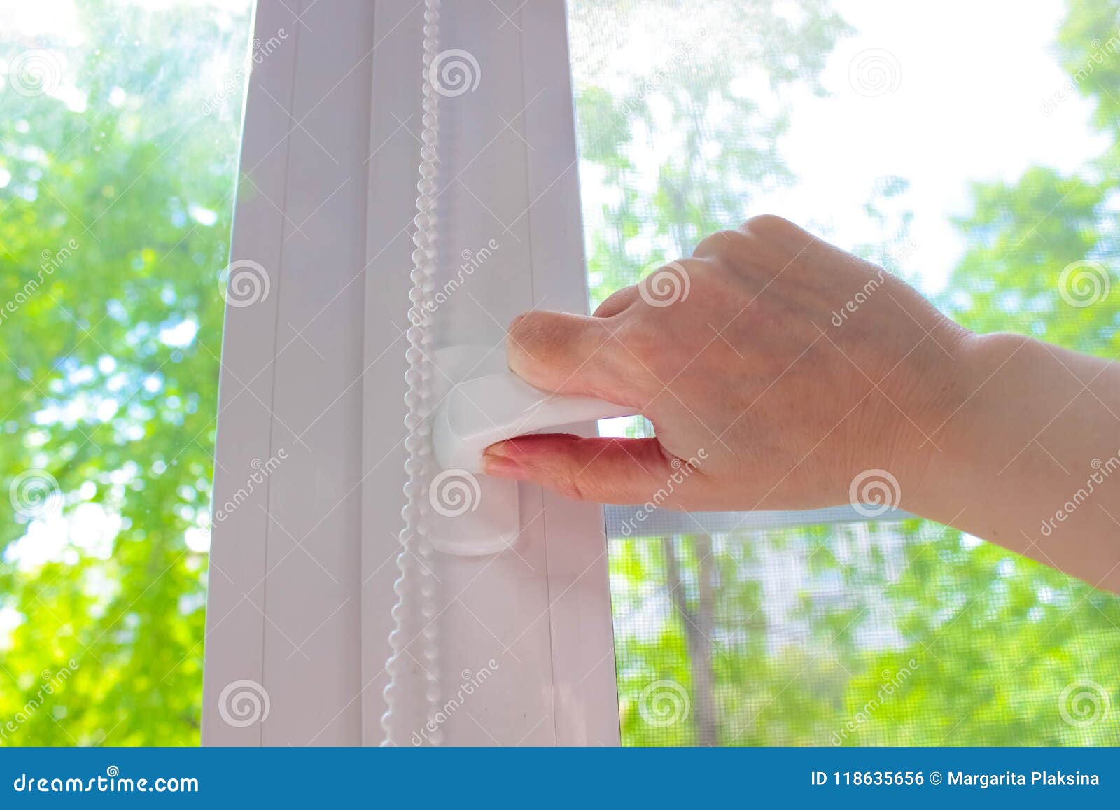 Plastic White Windows on the Background of Green Leaves. Stock Photo ...