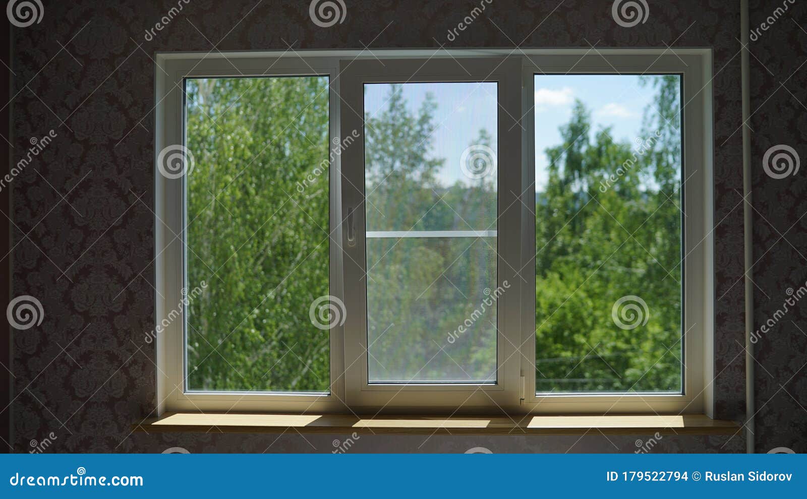 Plastic Window Overlooking the Green Trees. Window Overlooking ...