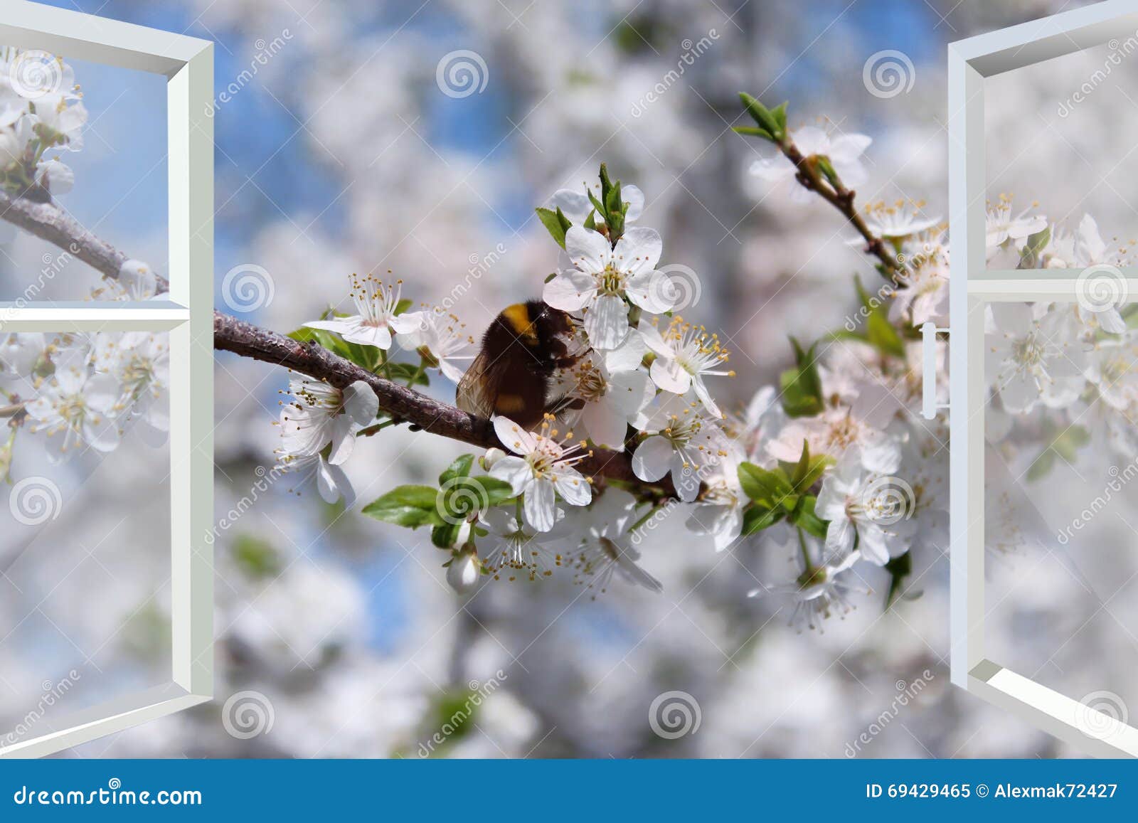 Plastic Windows Overlooking the Garden Stock Image - Image of frame ...