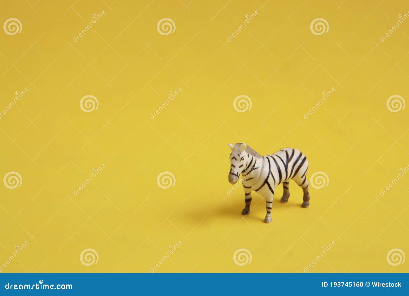Plastic Zebra Toy on Yellow Surface with Space for Your Text Stock ...