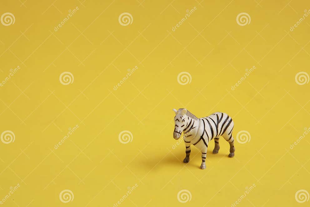 Plastic Zebra Toy on Yellow Surface with Space for Your Text Stock ...