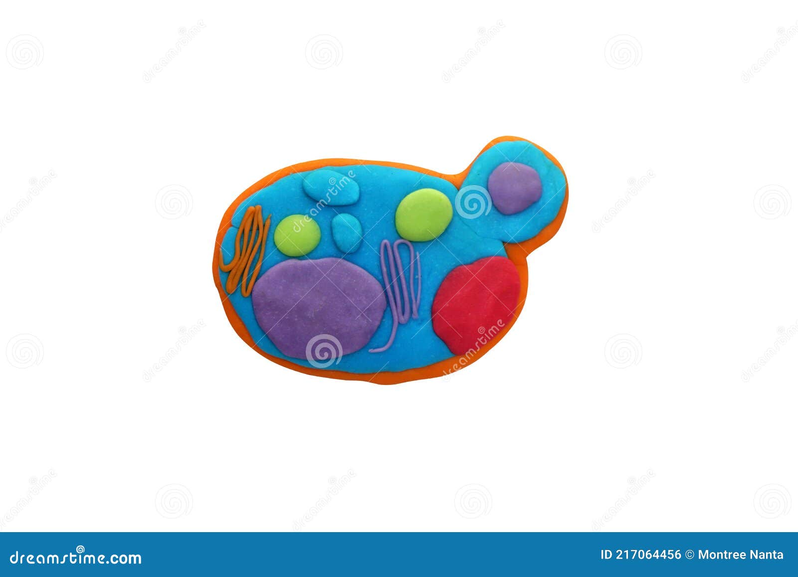 Plasticine Cell Sprouting Isolated on White Background with Clipping ...