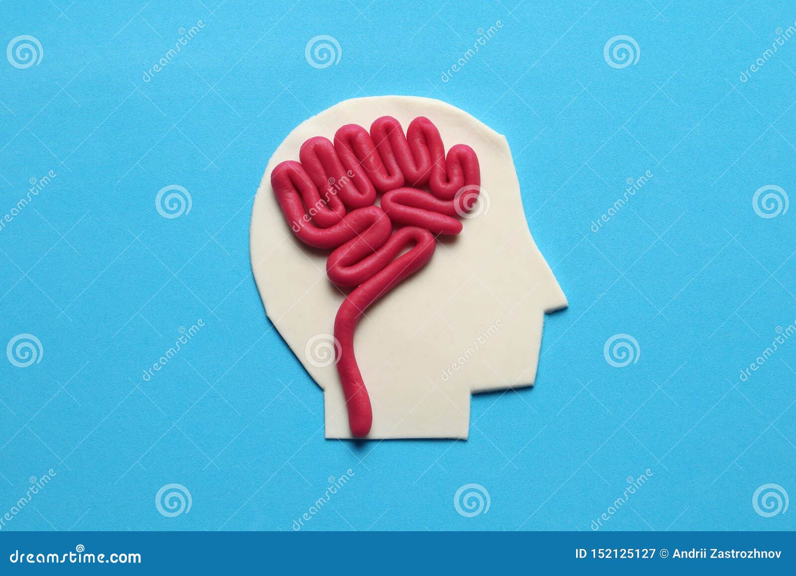 Plasticine Head and Brain Concept. Smart Mind, Neurology Knowledge ...