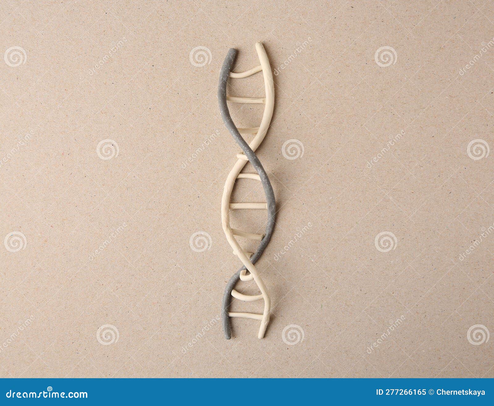 Plasticine Model of DNA Molecular Chain on Beige Background, Top View ...