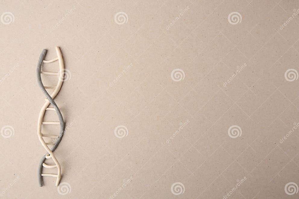 Plasticine Model of DNA Molecular Chain on Beige Background, Top View ...