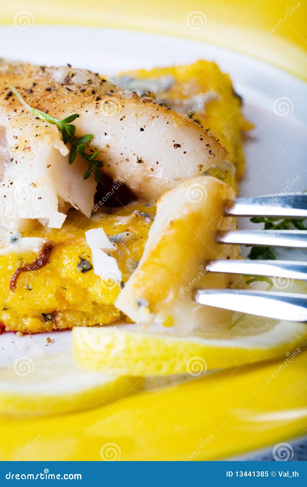 Plat de poisson image stock. Image du gourmet, manger - 13441385