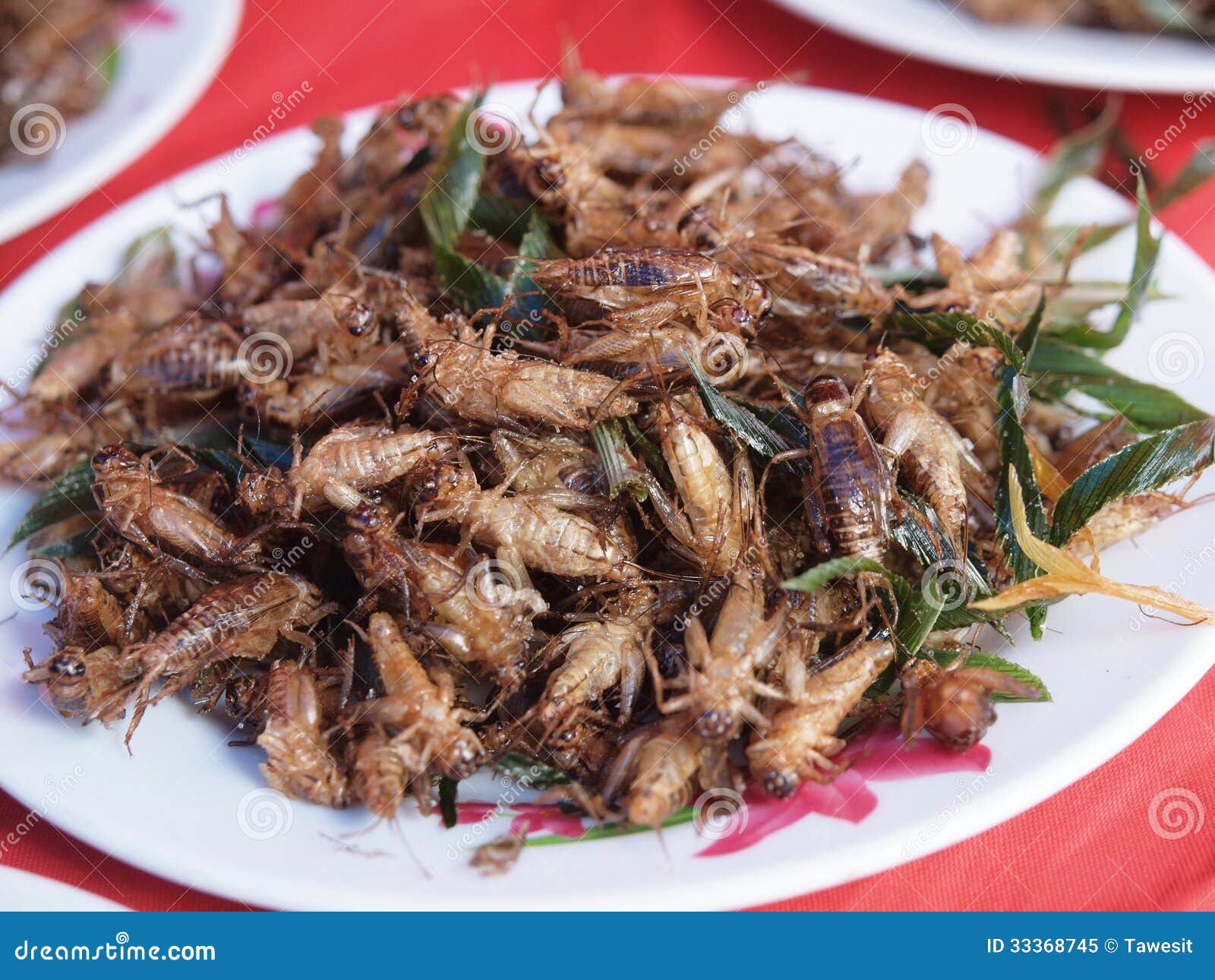 Plat des insectes frits image stock. Image du larves - 33368745