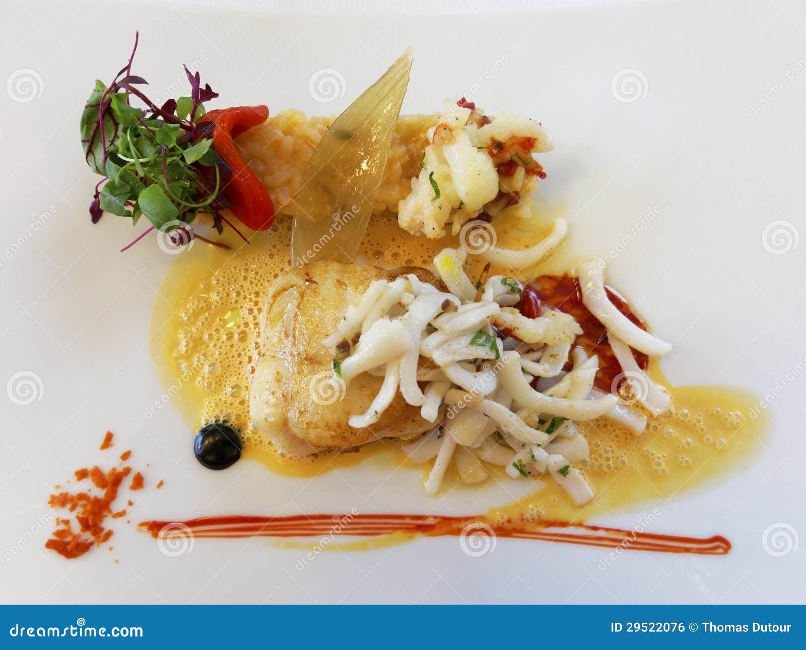 Plat principal de poissons photo stock. Image du préparé - 29522076