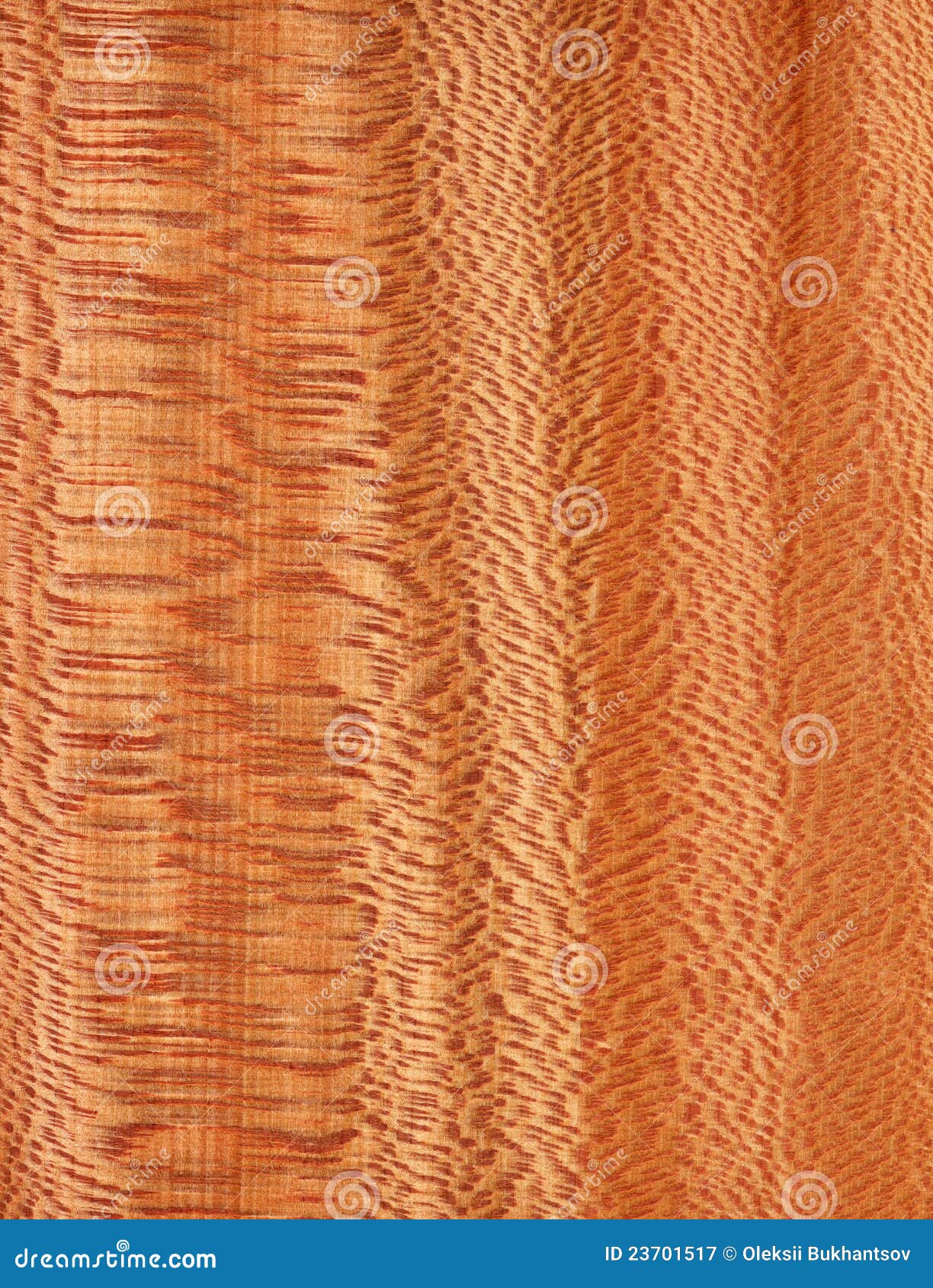 Platanus (textura De Madera) Imagen de archivo - Imagen de textura ...