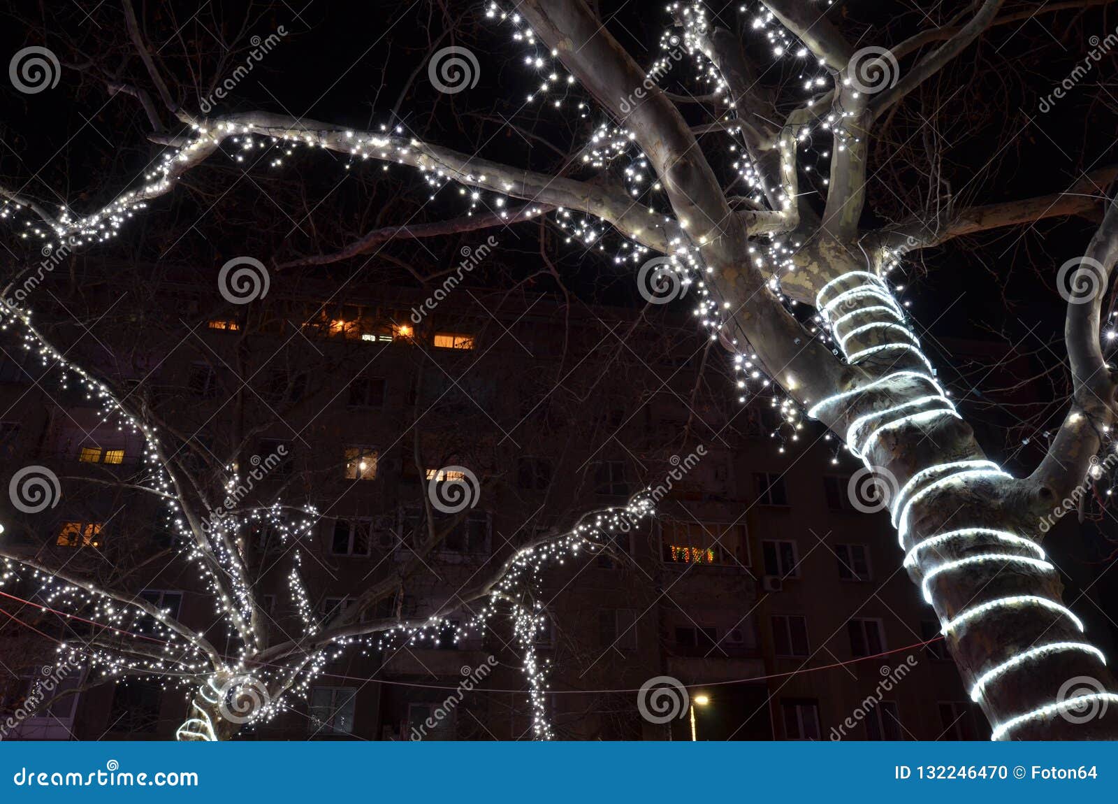 Platanus Tree Trunk Coiled by White Led Lights Stock Photo - Image of ...