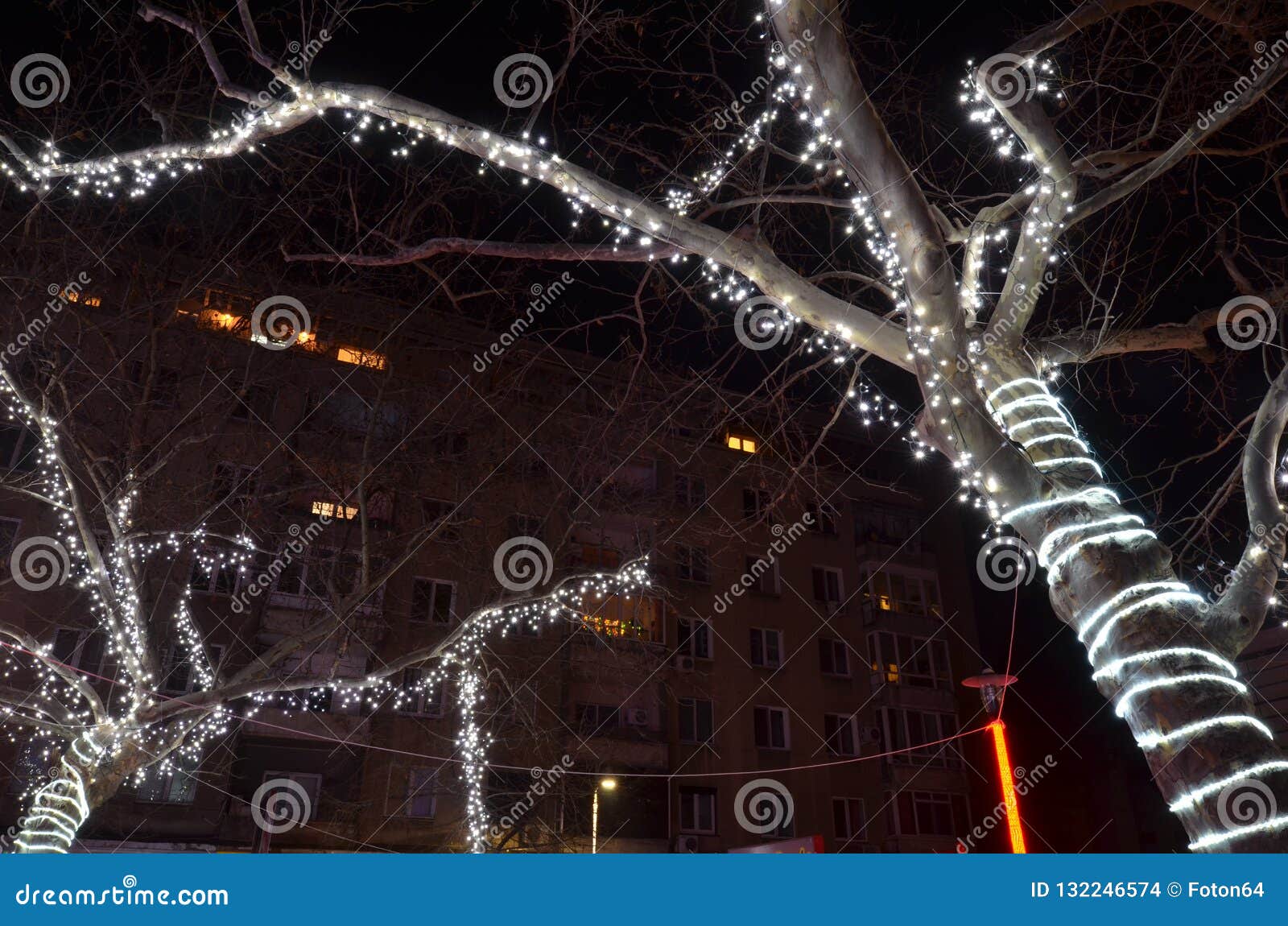 Platanus Tree Trunk Decorated by White Led Lights Stock Photo - Image ...
