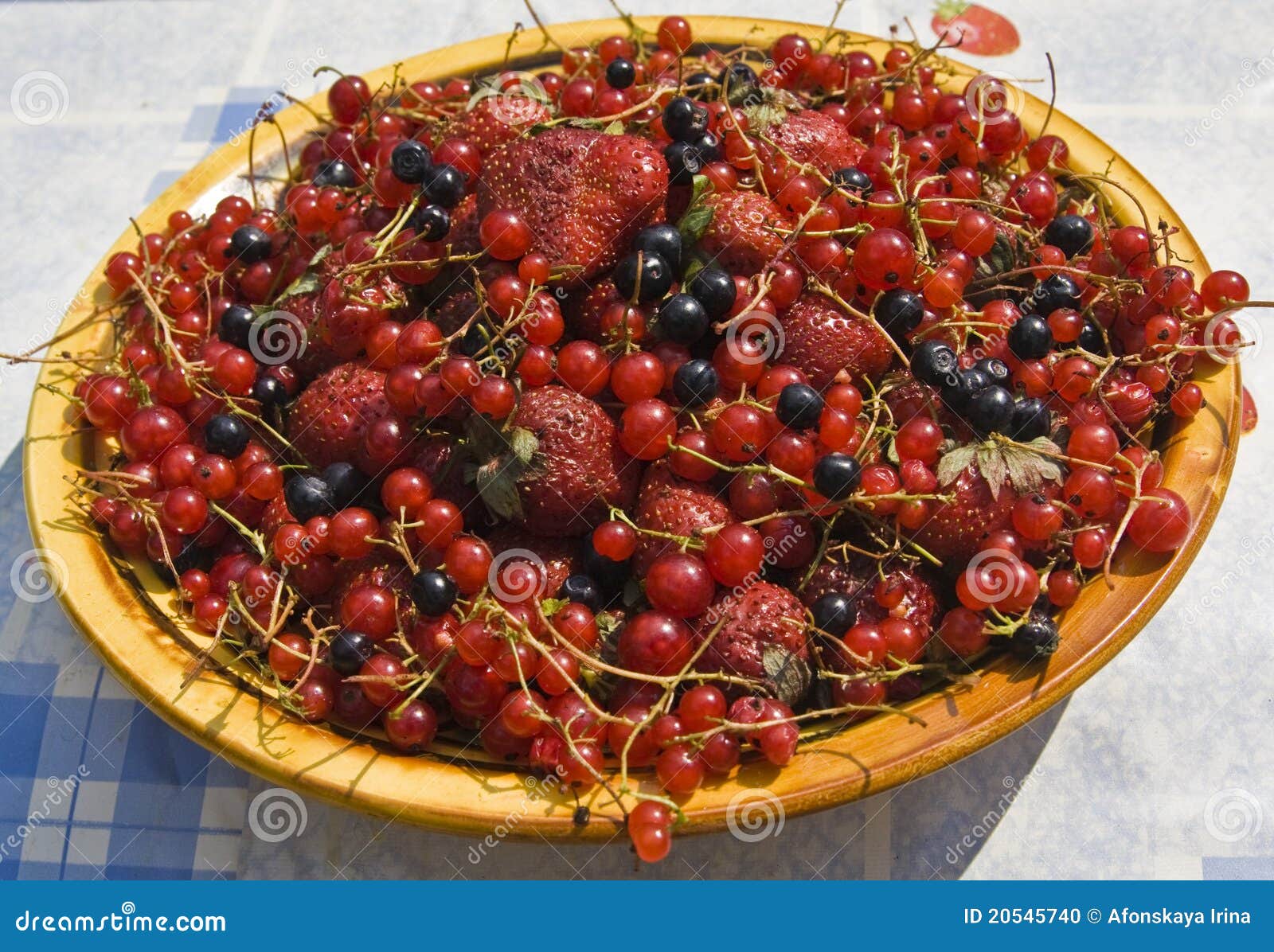 Plate with berries stock photo. Image of black, plate - 20545740