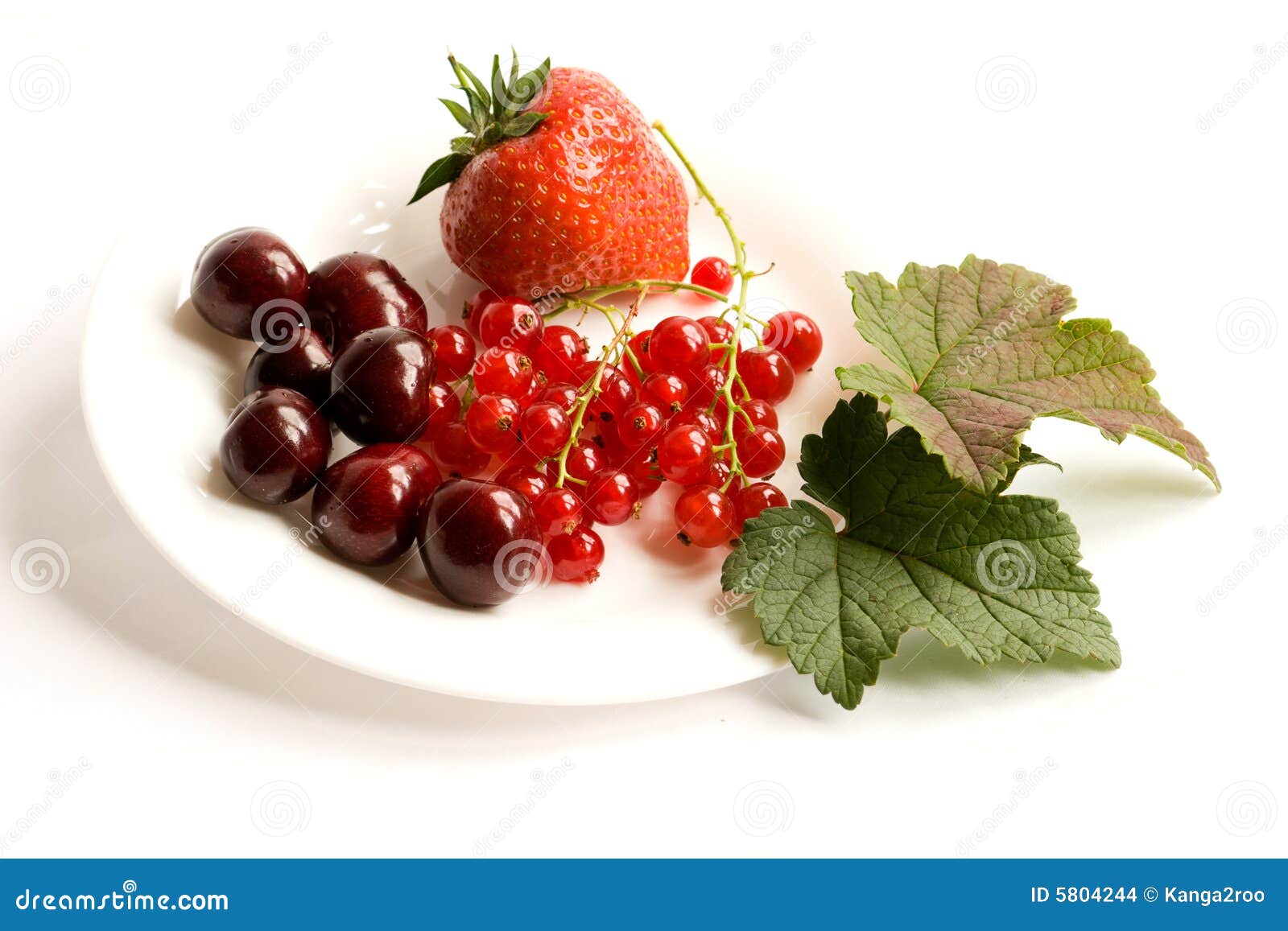 Plate of berries stock photo. Image of berries, juisy - 5804244
