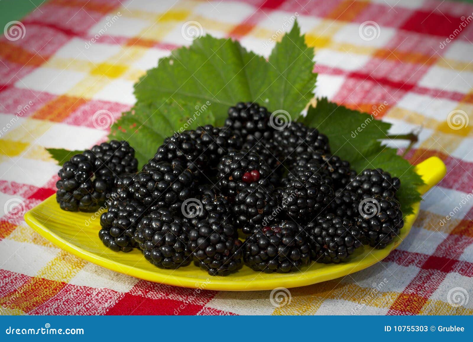 Plate of blackberries stock image. Image of bramble, dessert - 10755303