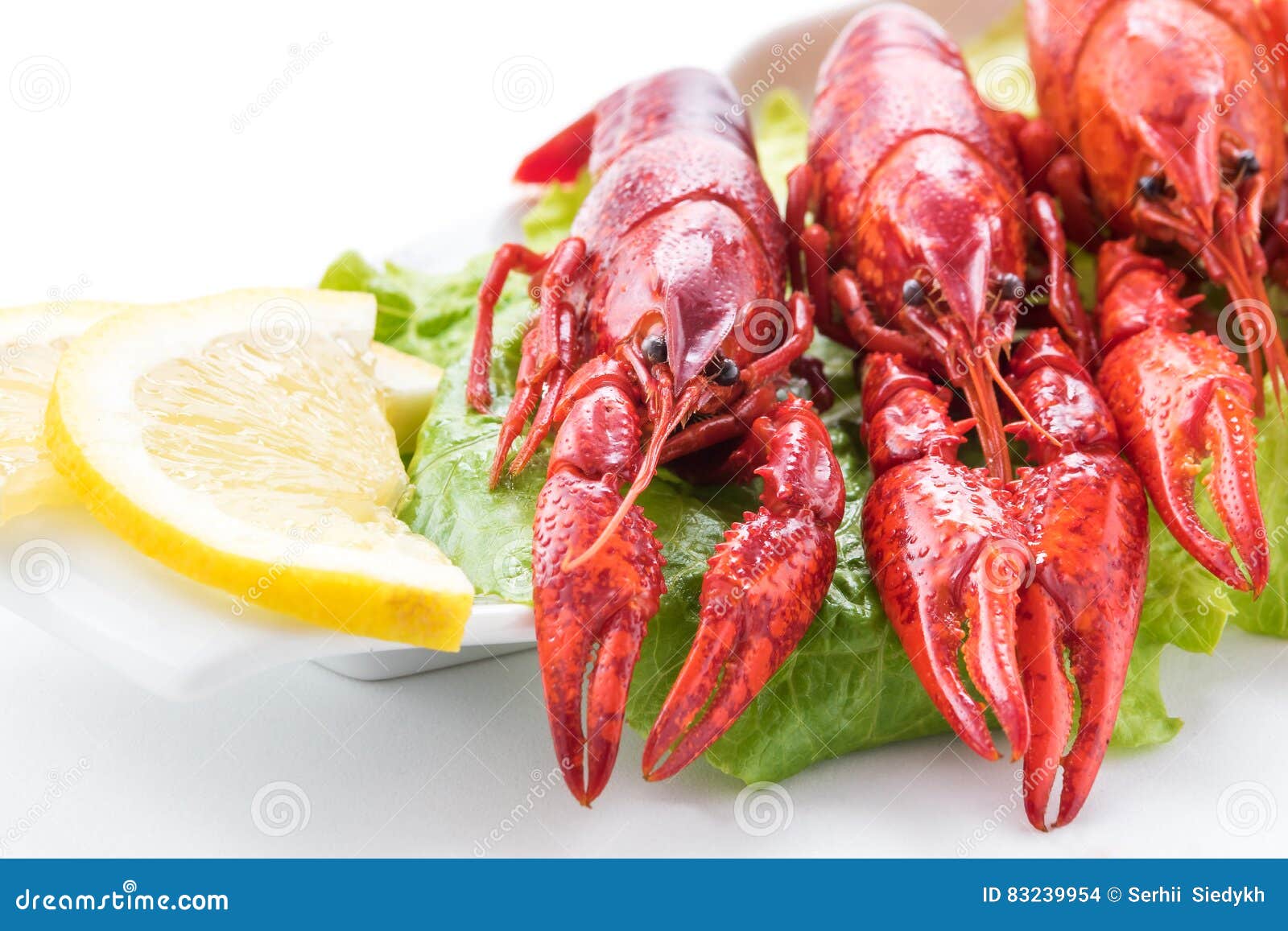 Plate of boiled crayfish stock photo. Image of delicacy - 83239954