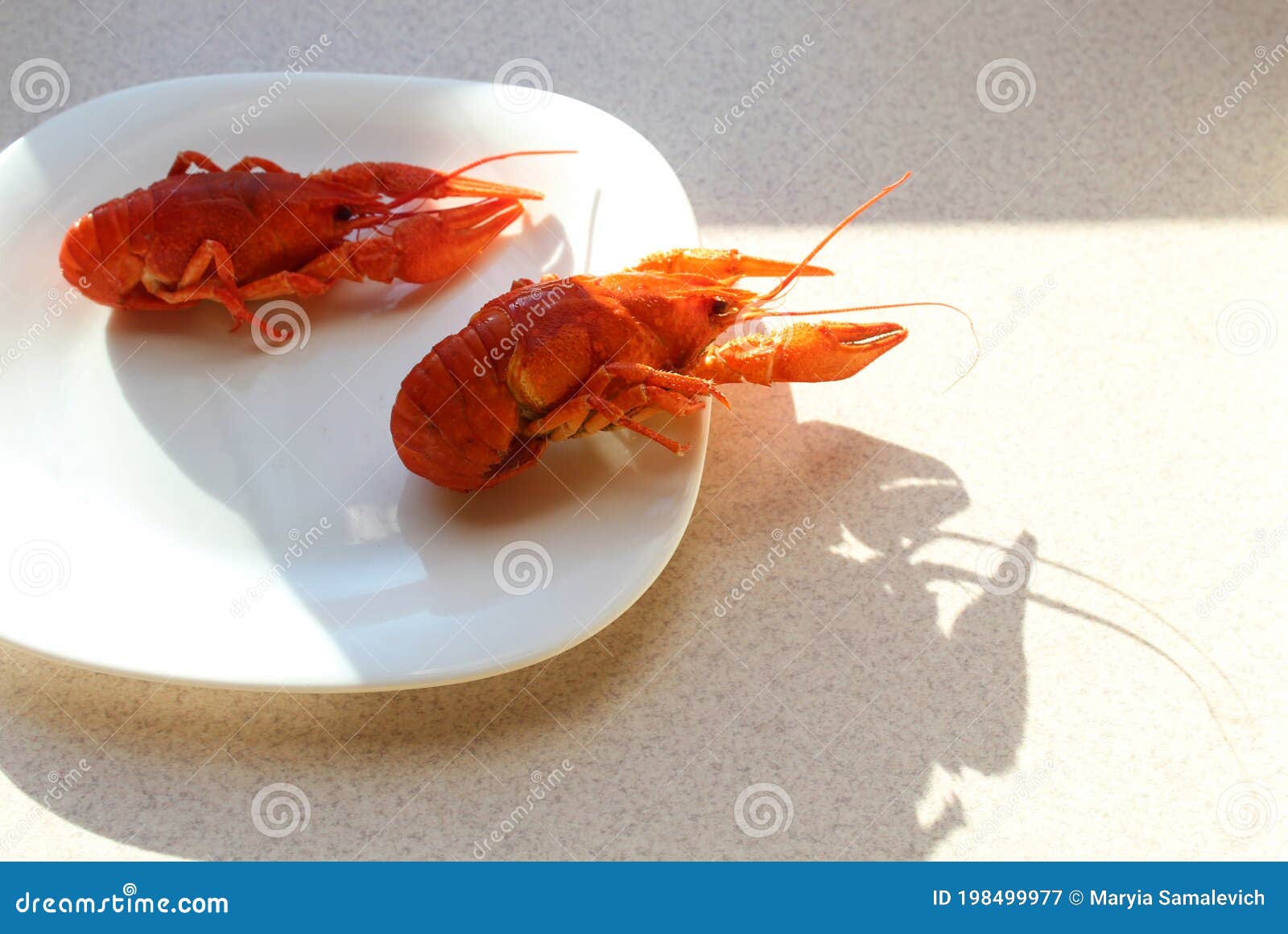 A Plate of Boiled Crayfish is on the Kitchen Table, Side View Stock ...
