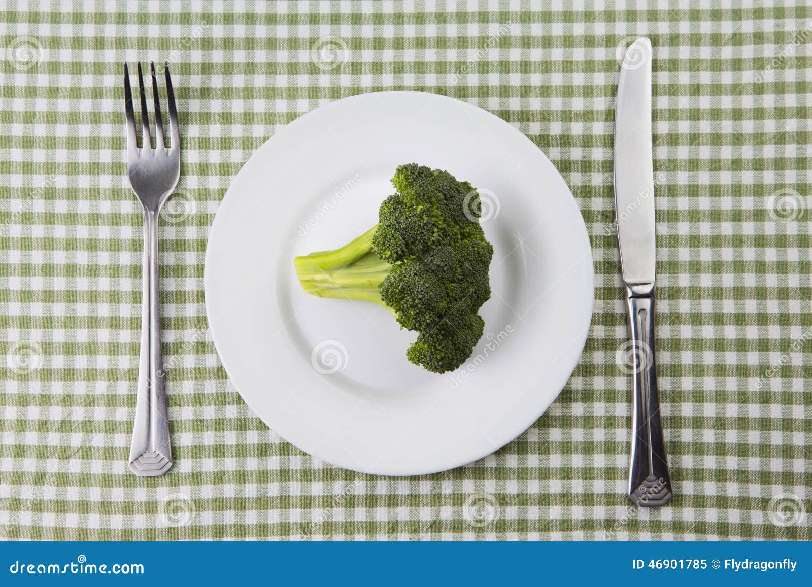 Plate of broccoli. stock image. Image of kitchen, color - 46901785