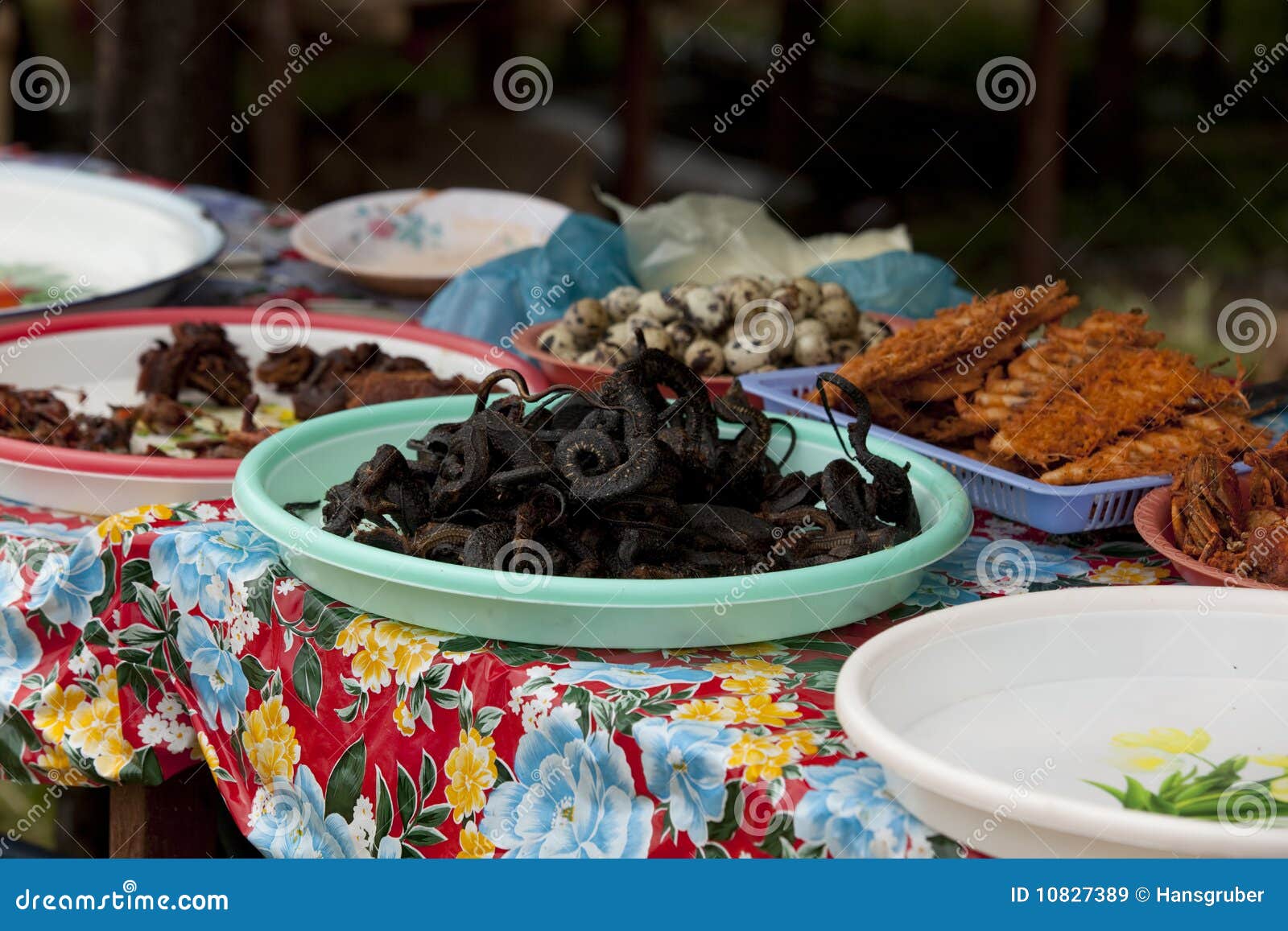 Plate of Cambodian Water Snakes Stock Image - Image of snakes, dark ...