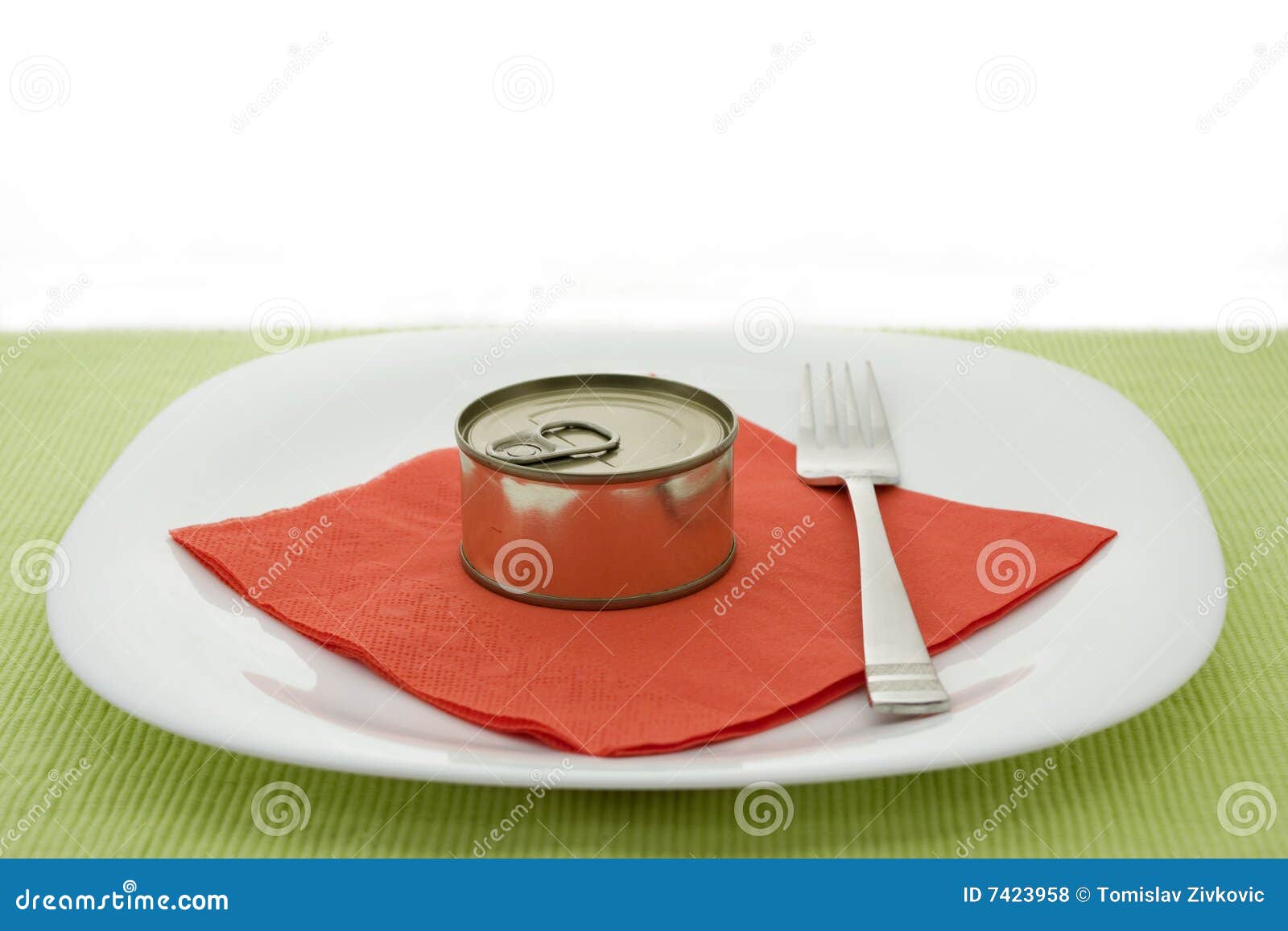 Plate with can stock photo. Image of fork, food, tinned - 7423958