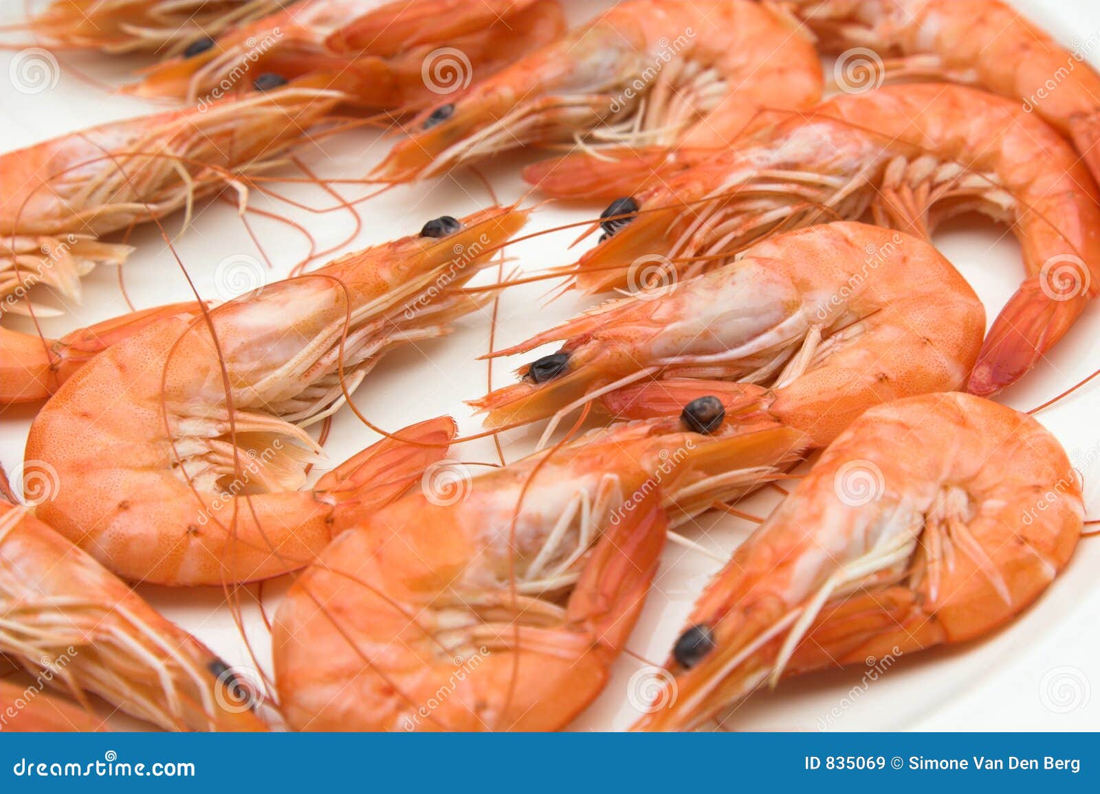 Plate of cooked prawns stock image. Image of gamba, pink - 835069