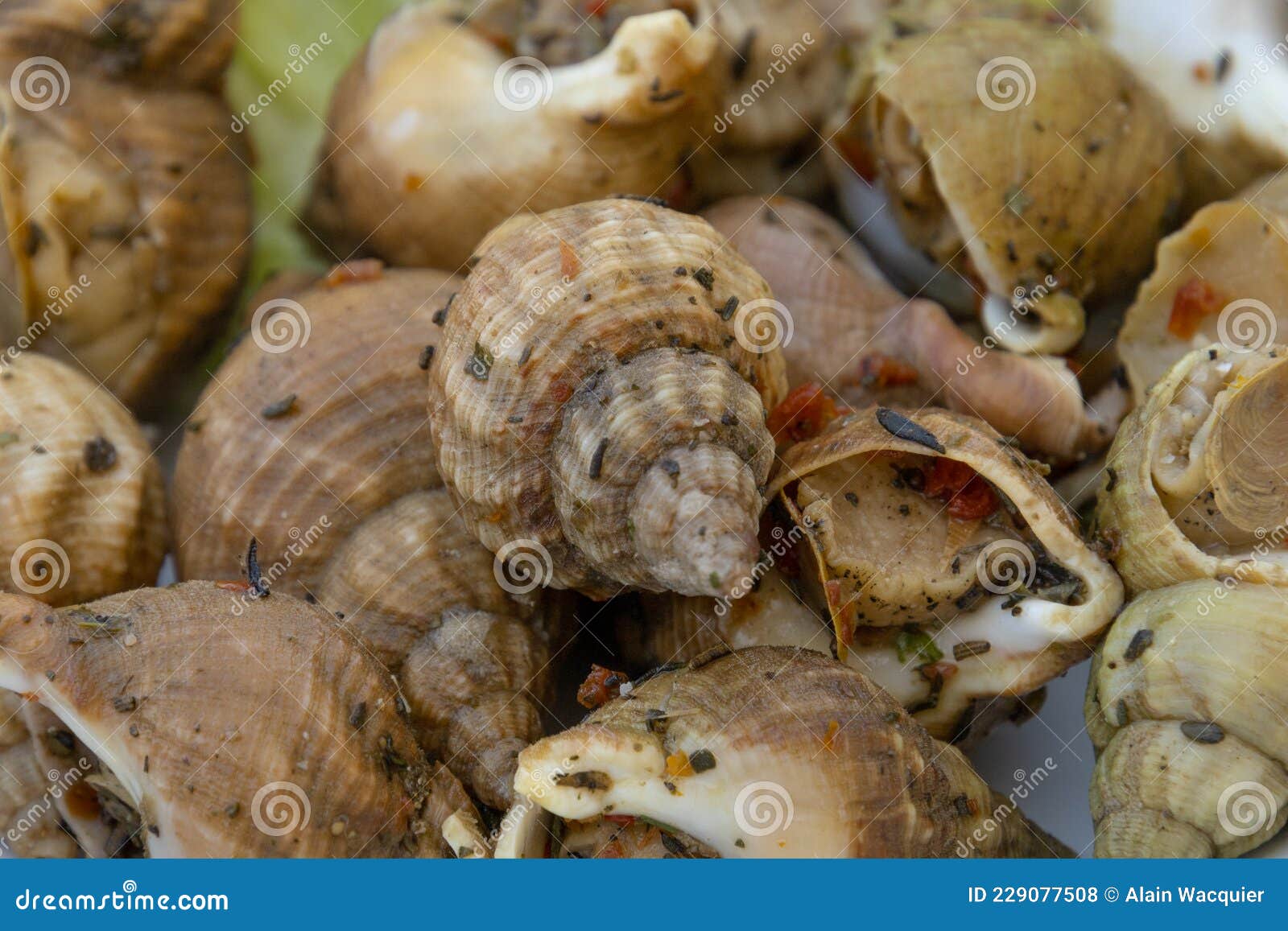 Plate of Cooked Whelks on a Table Stock Photo - Image of salad, whelk ...