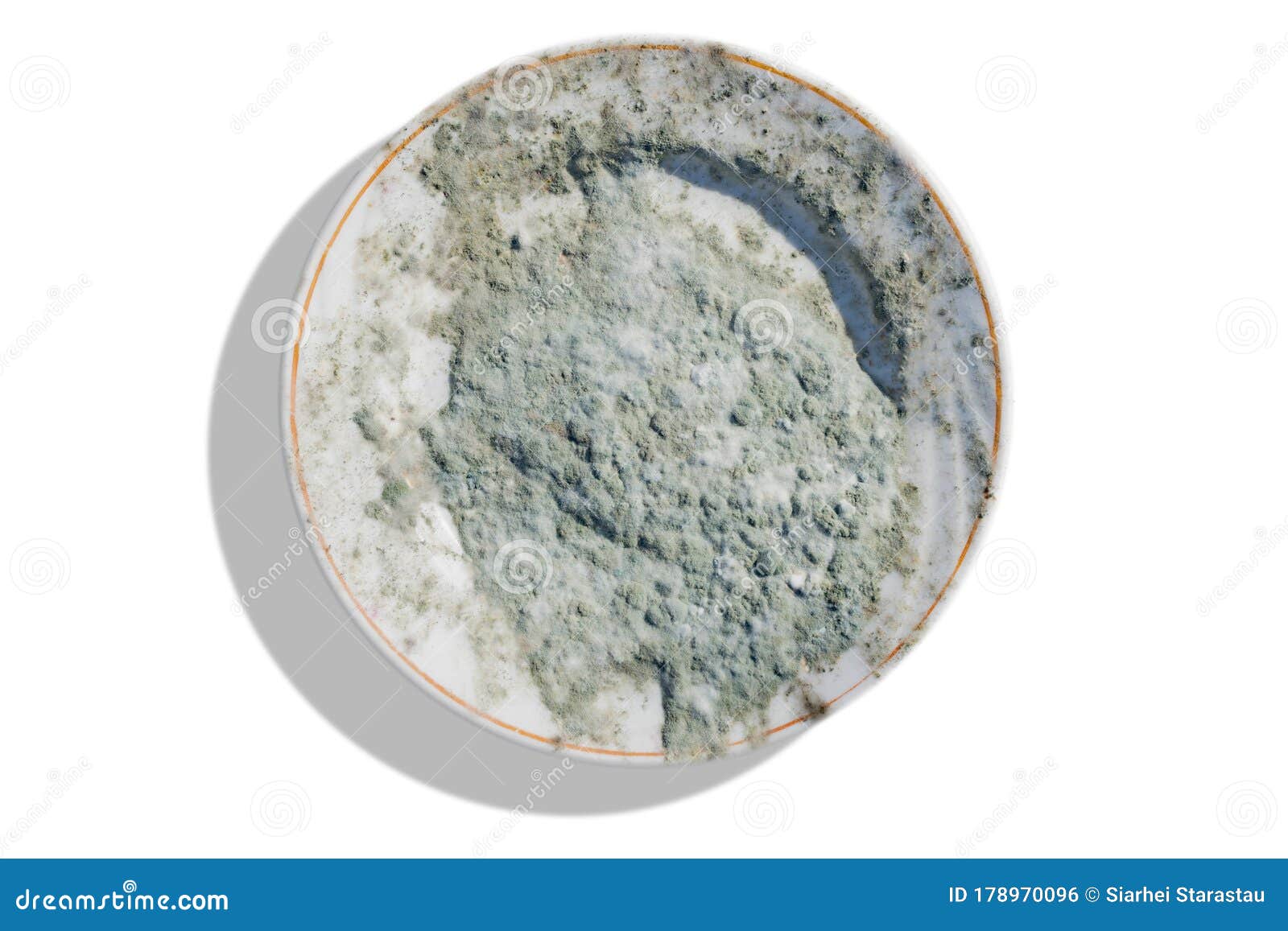The Plate is Covered with Mold Stock Photo - Image of detail, botany ...