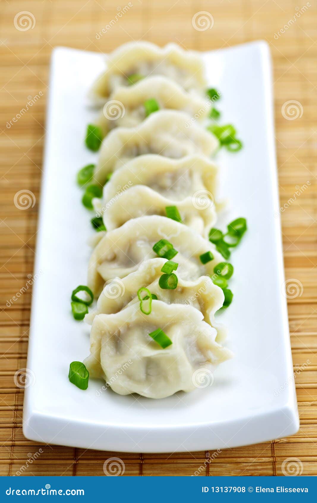 Plate of dumplings stock photo. Image of foods, garnished - 13137908