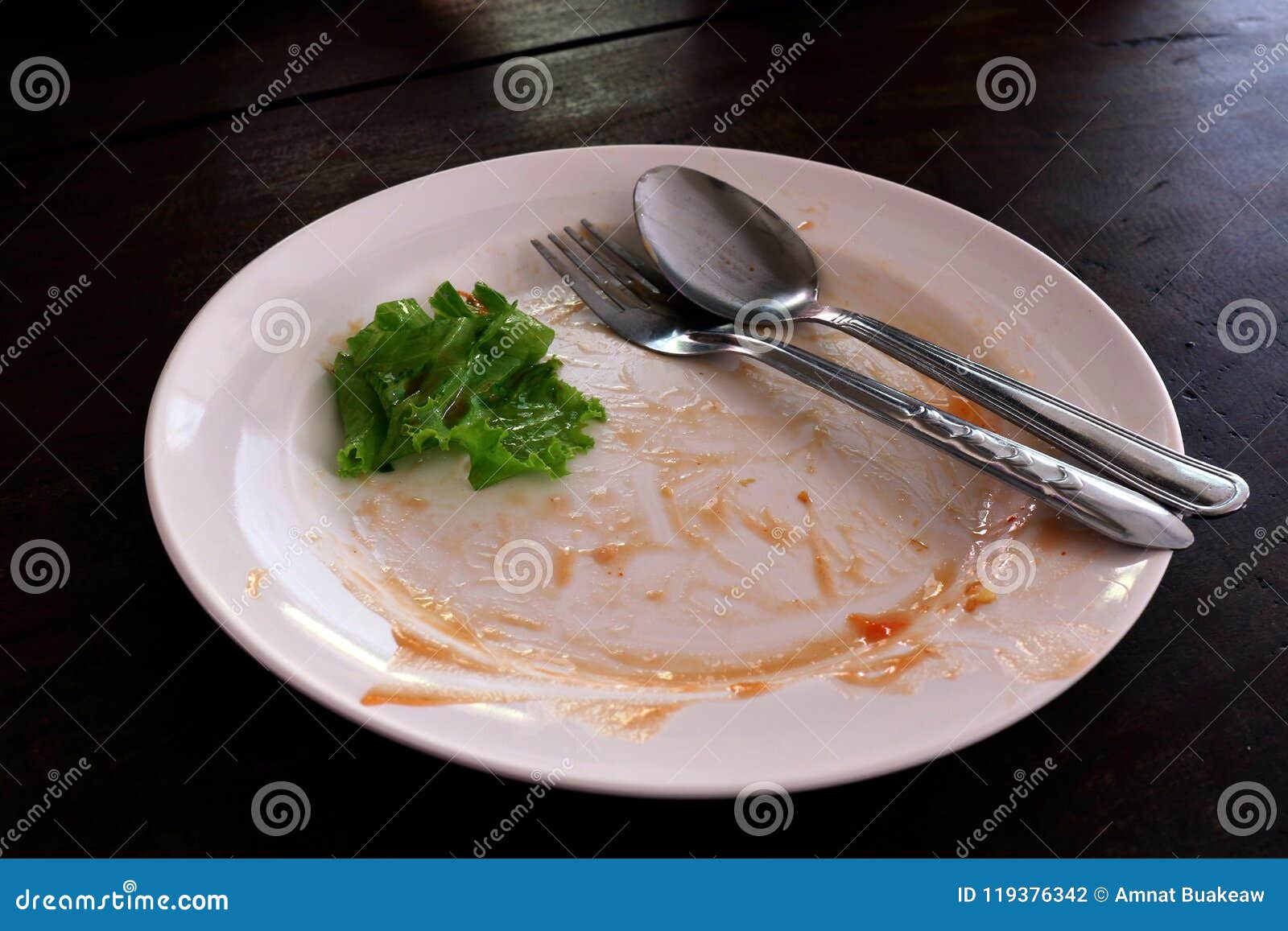 Plate Empty Trash Food and Leaves of Green Vegetables on a Plate of ...