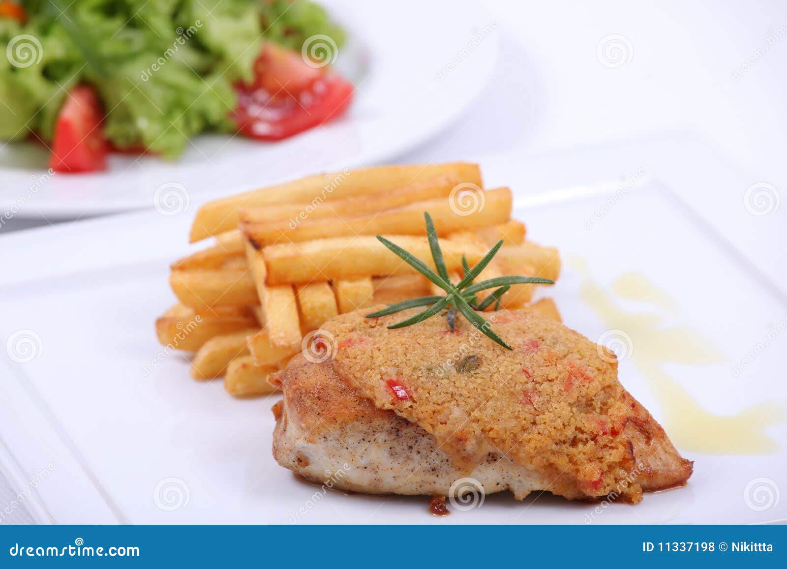 Plate of fine dining meal stock photo. Image of fries - 11337198
