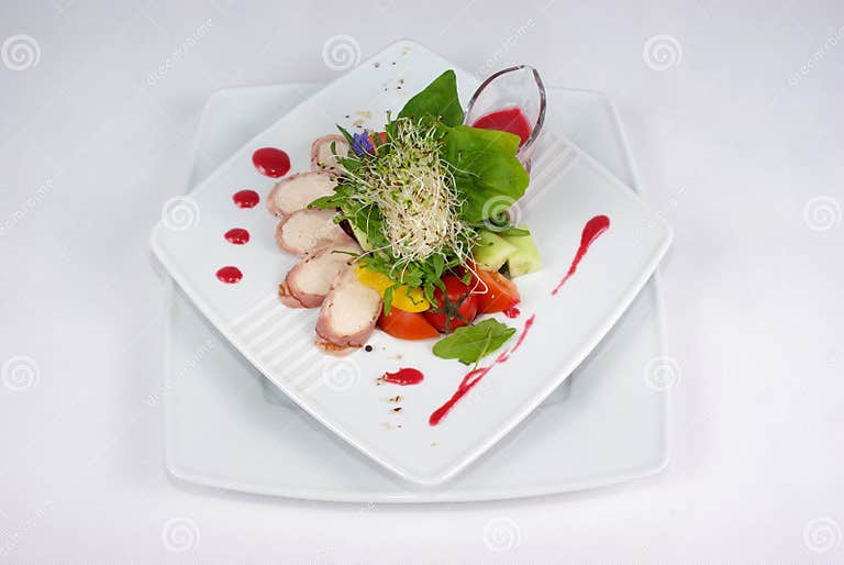 Plate of fine dining meal stock photo. Image of protein - 5613614