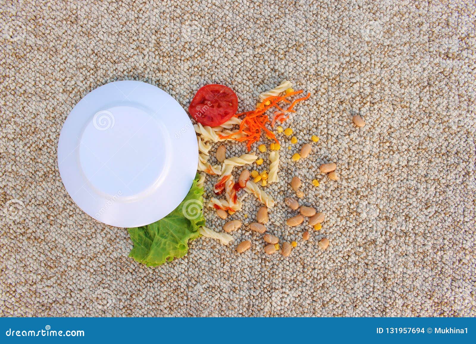 Plate of Food Fell on Carpet. Stock Photo - Image of lunch, clumsy ...