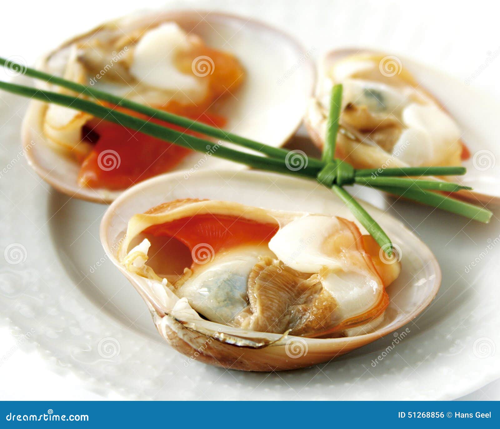 A plate of fresh clams stock photo. Image of culinary - 51268856