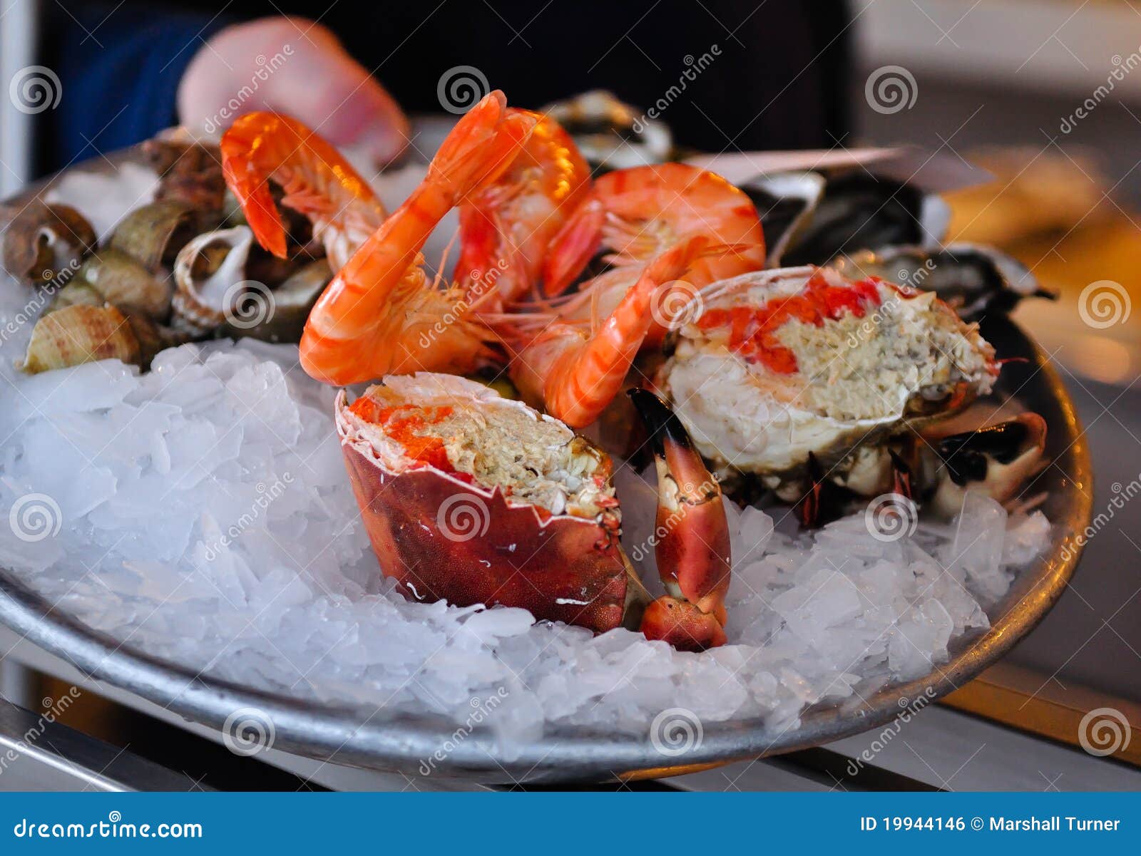 Plate of Fresh Seafood stock photo. Image of shrimp, entree - 19944146