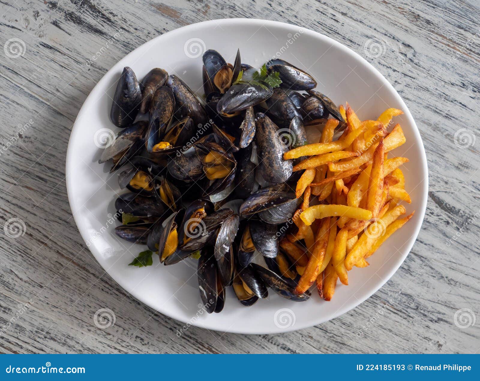 Plate of fried mussels stock image. Image of fried, copper - 224185193