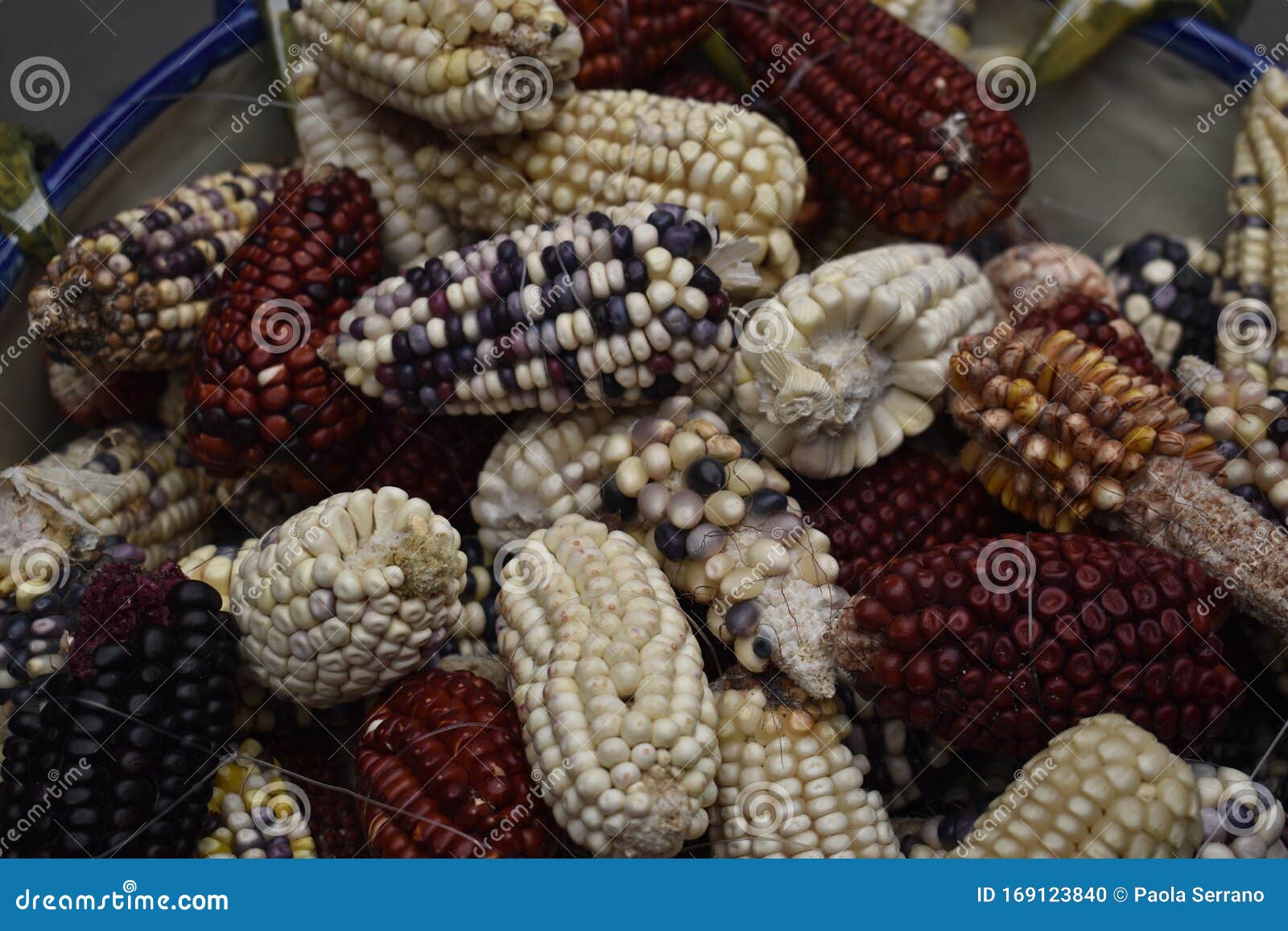 Plate Full of Colorful Mexican Corn Cobs Stock Photo - Image of food ...