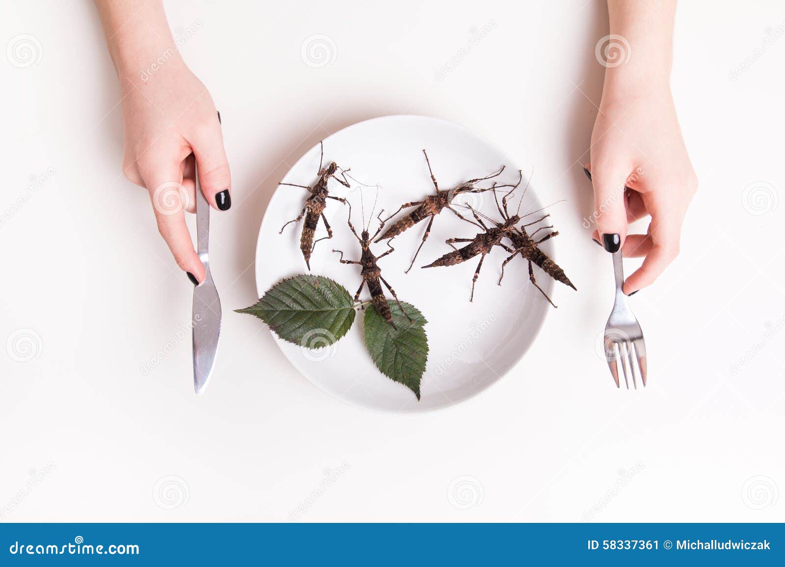 Plate Full of Insects in Insect To Eat Restaurant Stock Image - Image ...