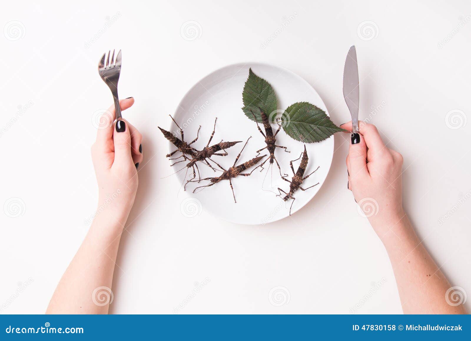 Plate Full of Insects in Insect To Eat Restaurant Stock Photo - Image ...