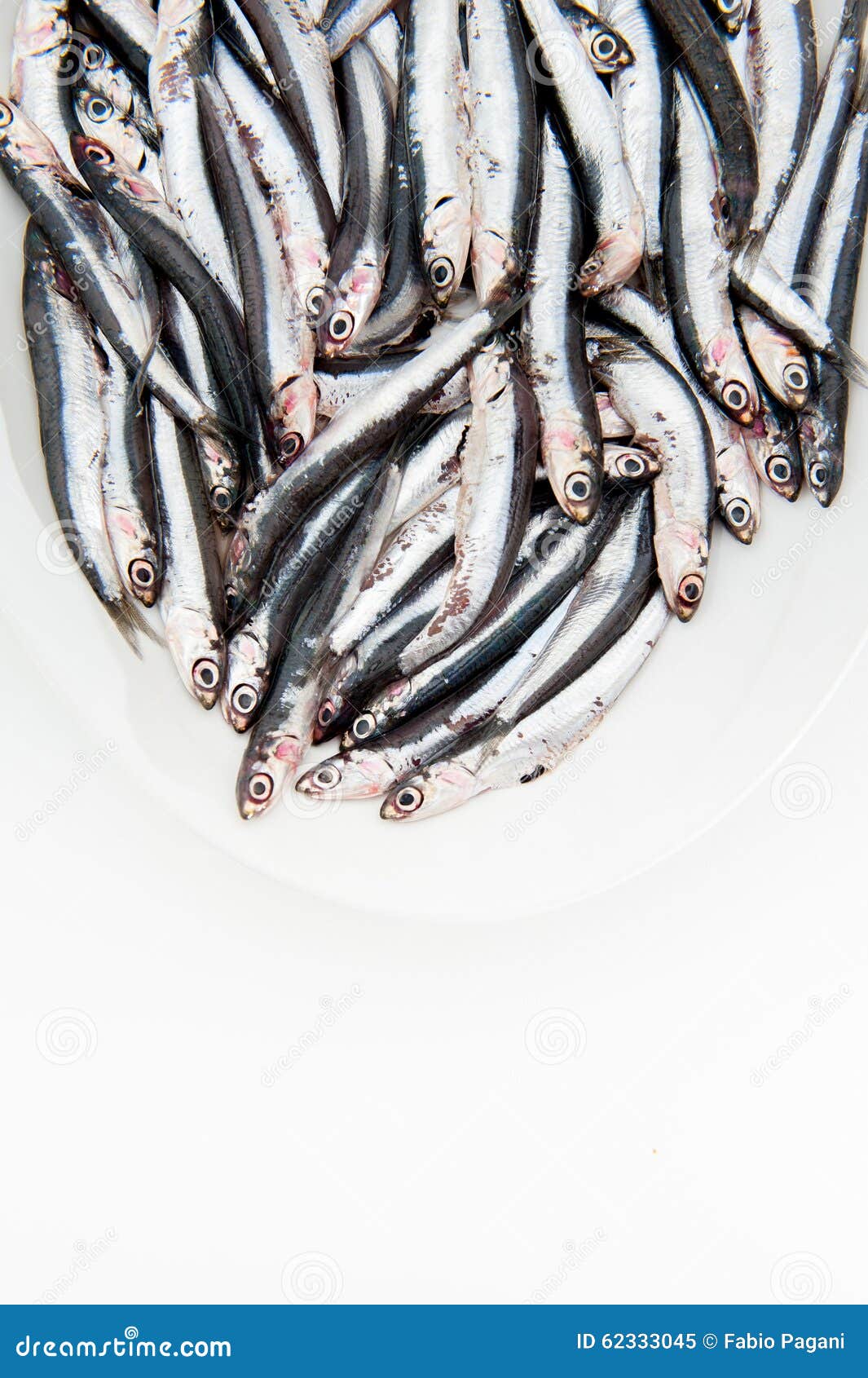 Plate Full of Many Fresh Raw Anchovy Stock Image - Image of healthy ...