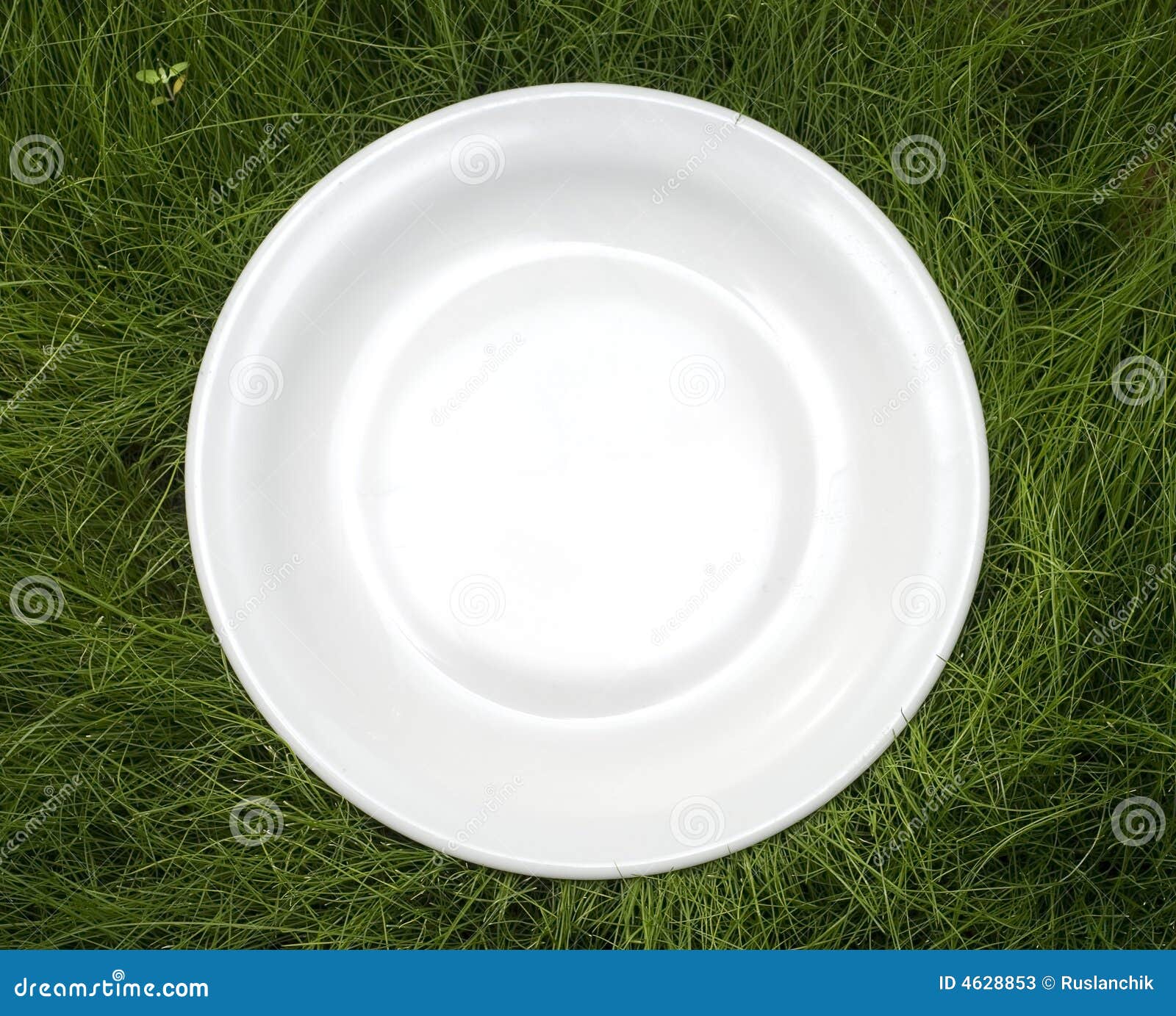 Plate on grass stock image. Image of glass, utensil, background - 4628853