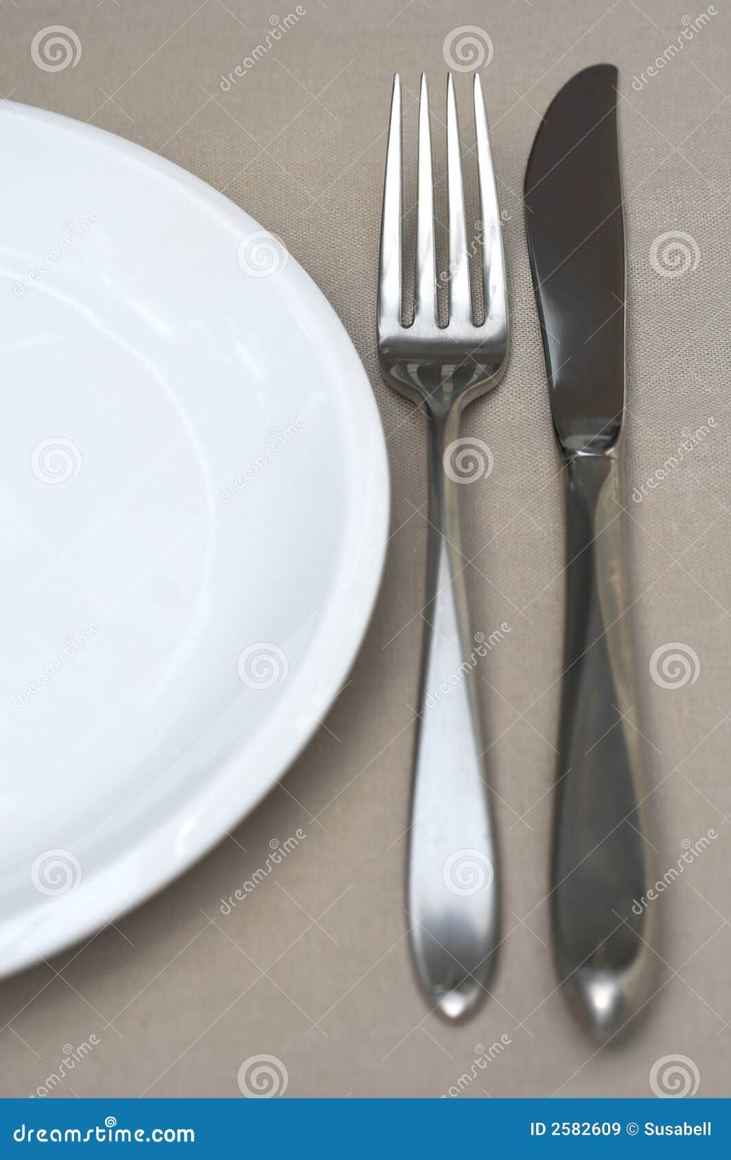 Plate with knife and fork stock image. Image of plate - 2582609
