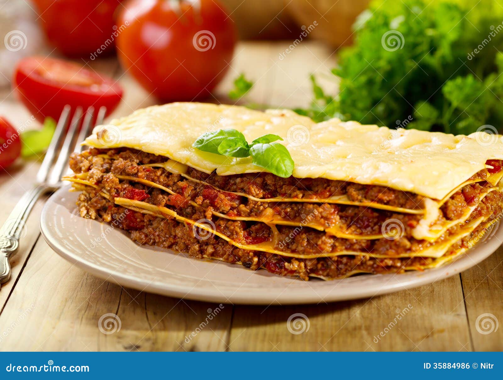 Plate of lasagna stock photo. Image of cuisine, food - 35884986