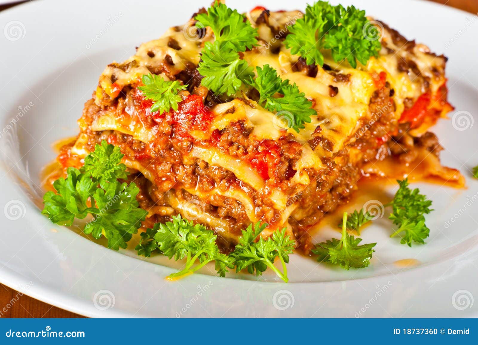 Plate with lasagne stock photo. Image of cheese, food - 18737360