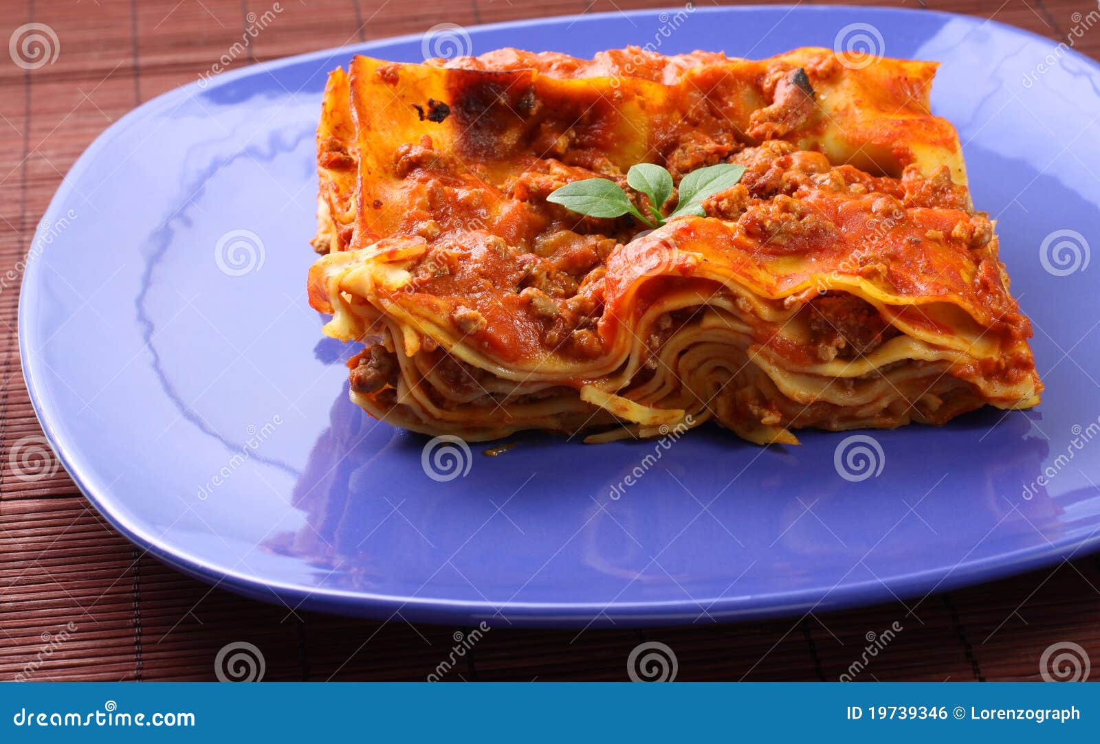 Plate with Lasagne stock photo. Image of lasagne, beef - 19739346