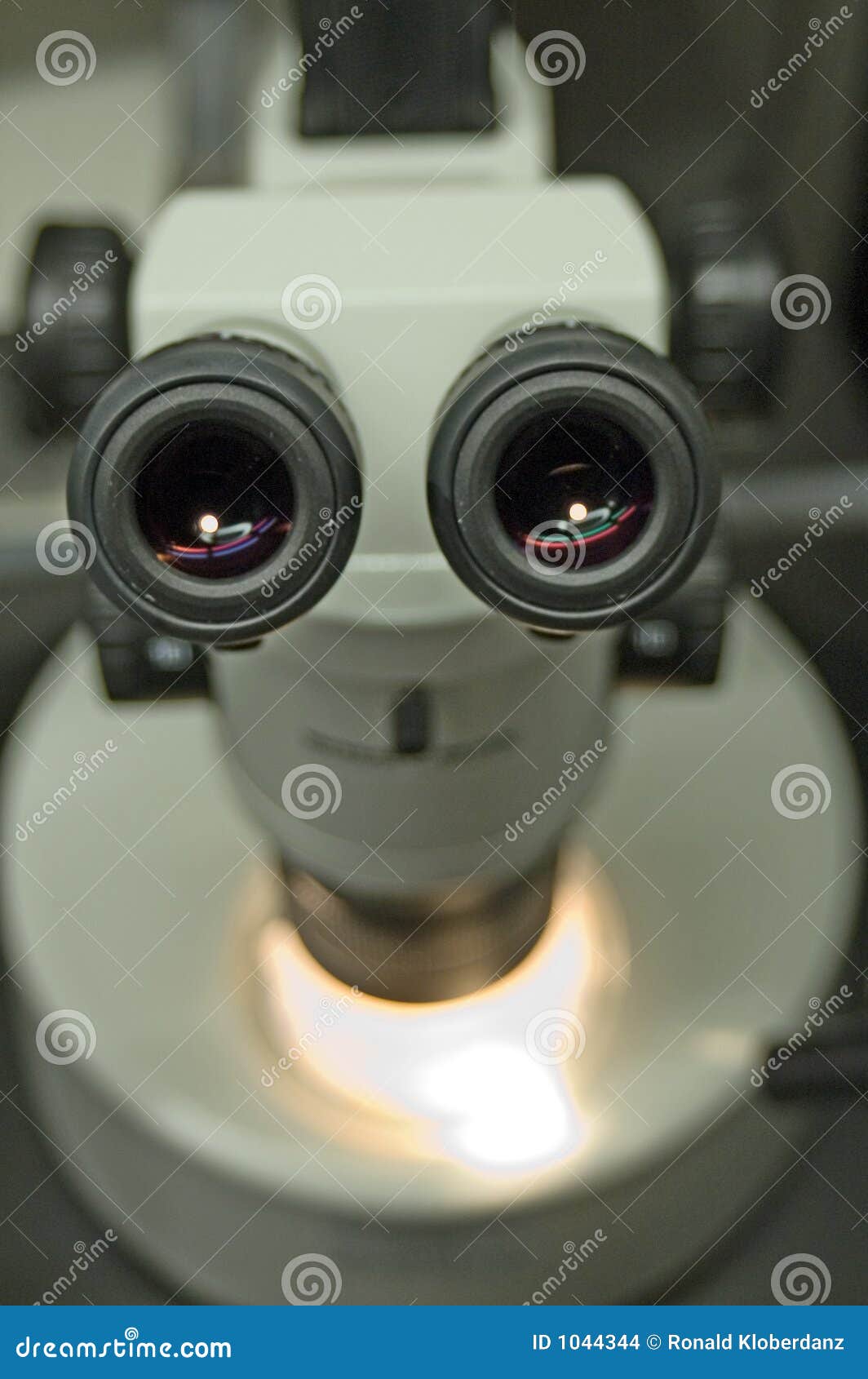 Plate microscope stock photo. Image of dish, view, petri - 1044344