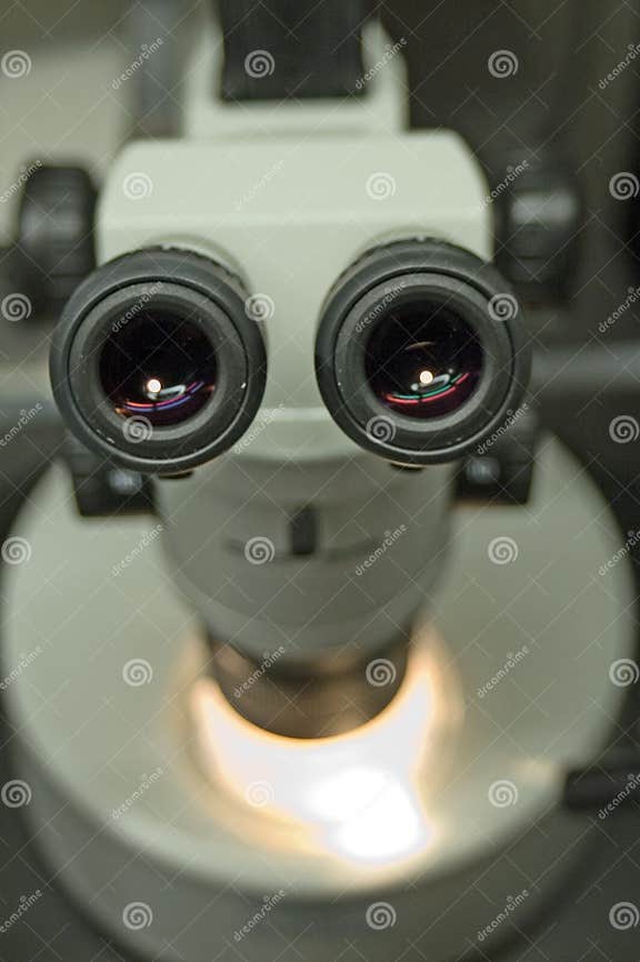 Plate microscope stock photo. Image of dish, view, petri - 1044344
